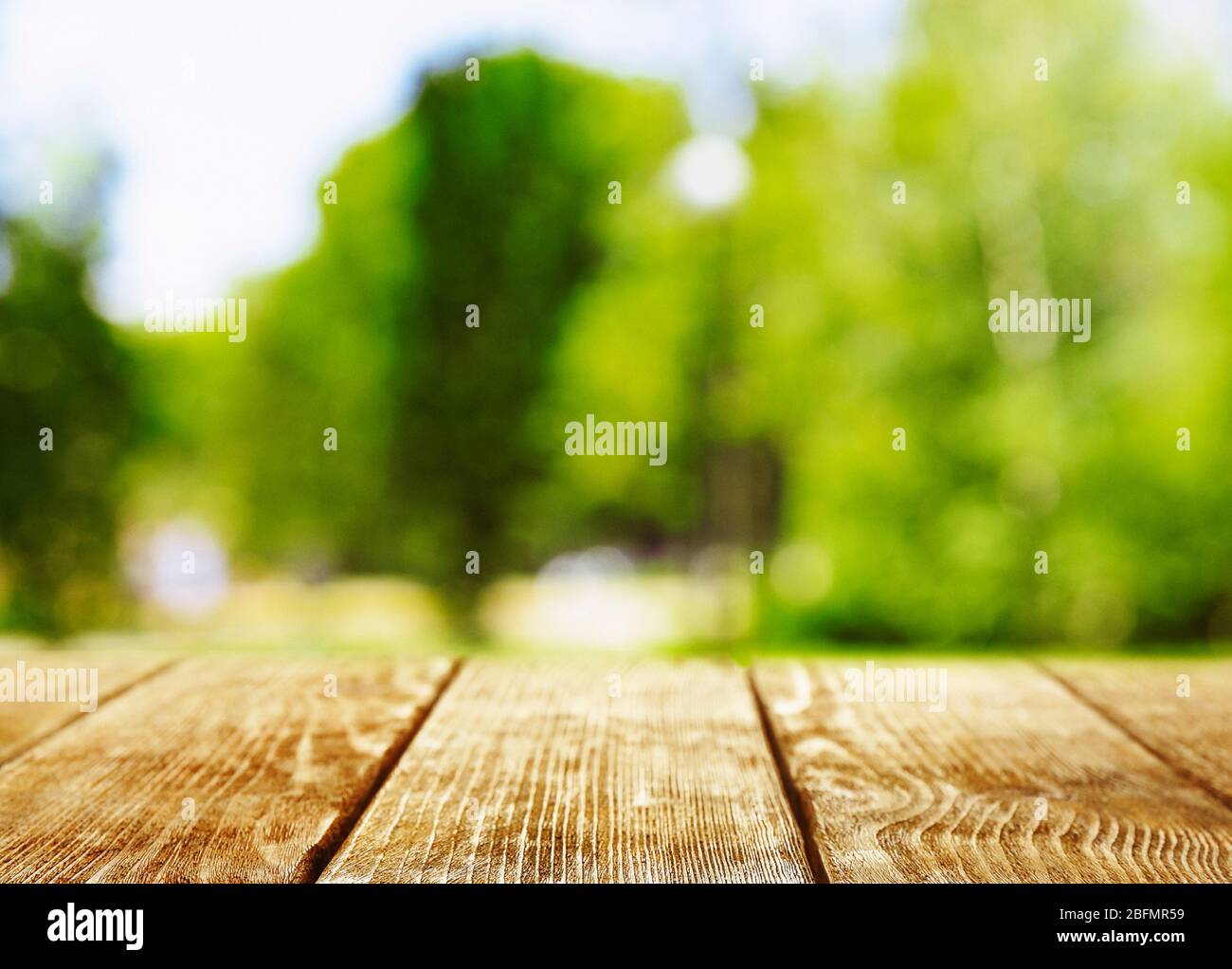 Beautiful spring or summer season abstract nature background with ...