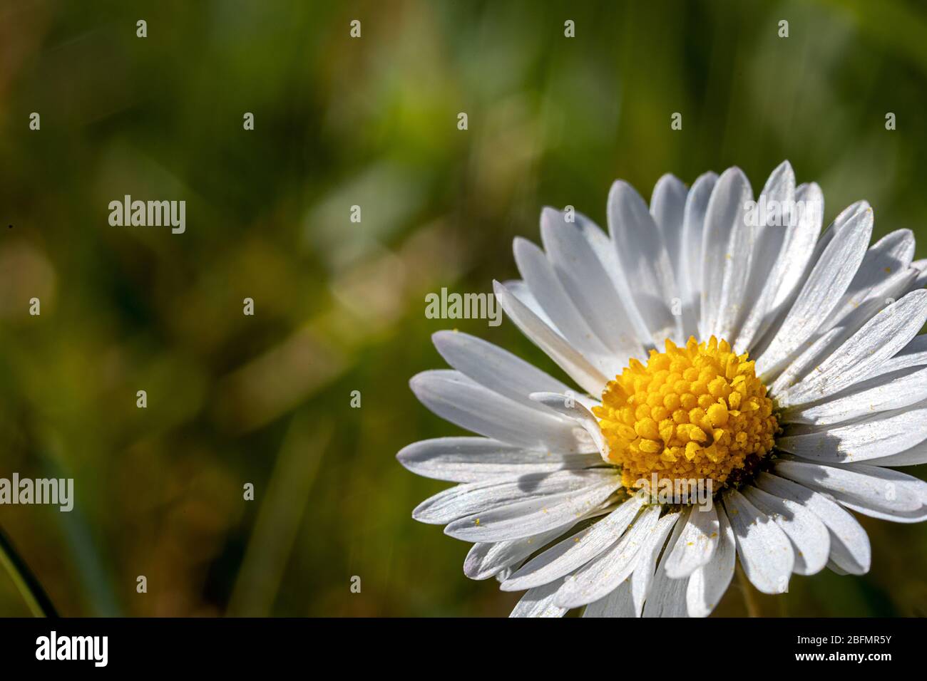 Partial view background hi-res stock photography and images - Alamy
