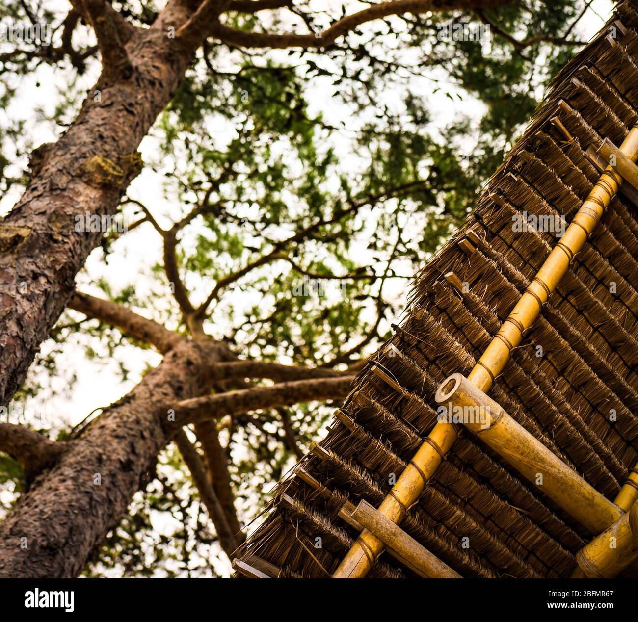 Wooden structure man made with a bamboo under a tree Stock Photo - Alamy
