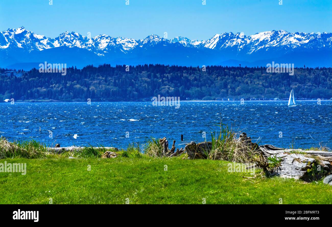 Sailboat Rocks Olympic Snow Mountains Green Grass Bracketts Landing ...