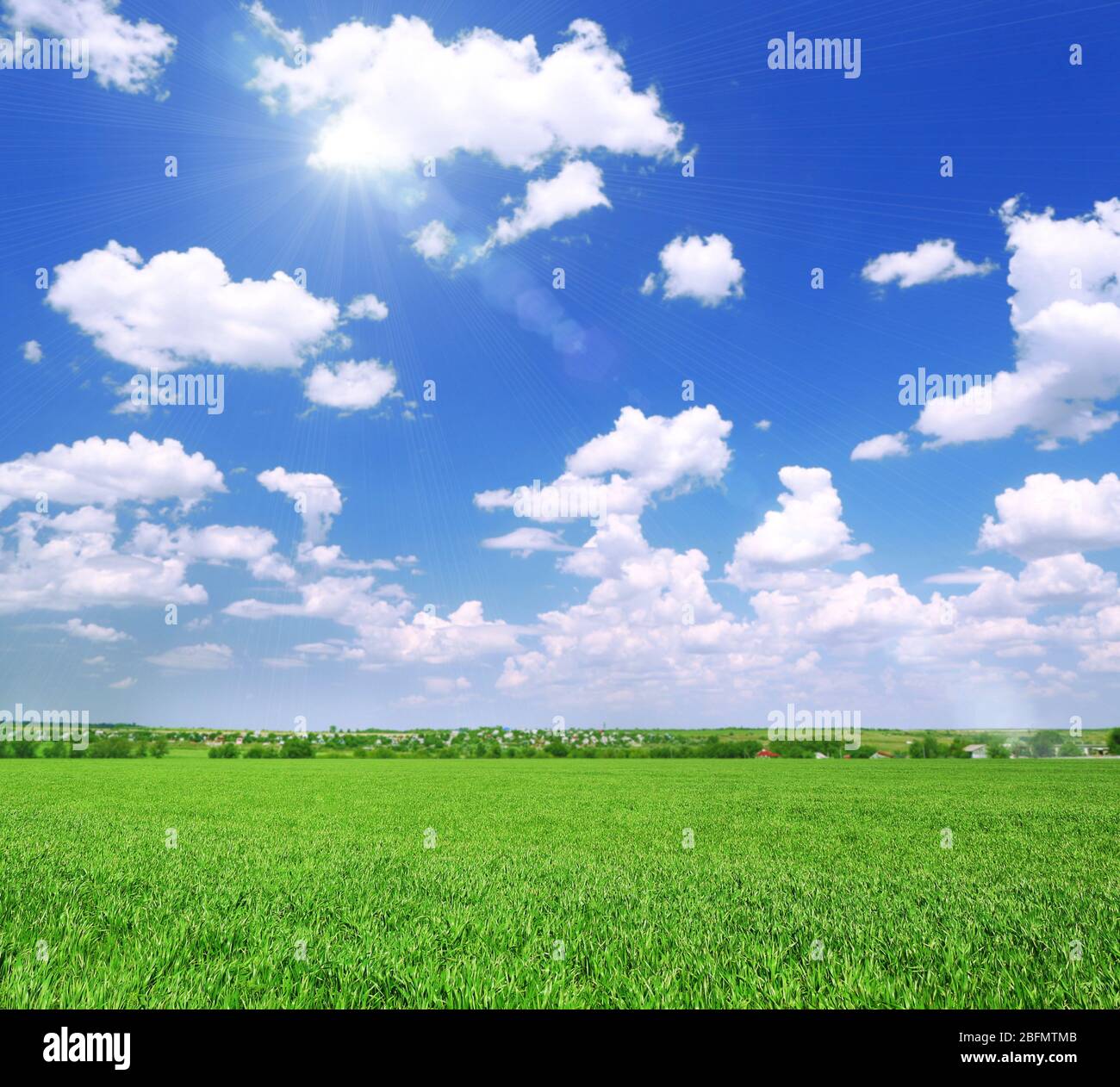 Green spring field Stock Photo - Alamy