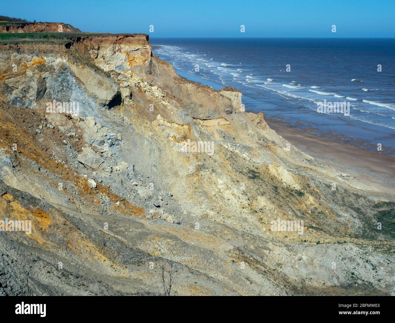 Jurassic coast fossils hi-res stock photography and images - Alamy