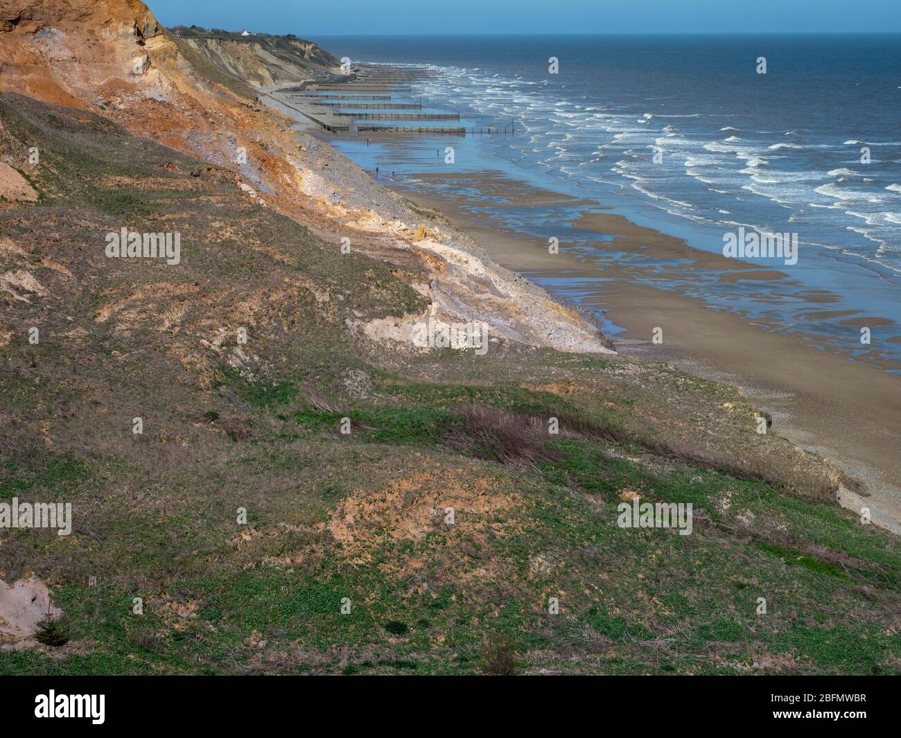 Jurassic coast fossils hi-res stock photography and images - Alamy