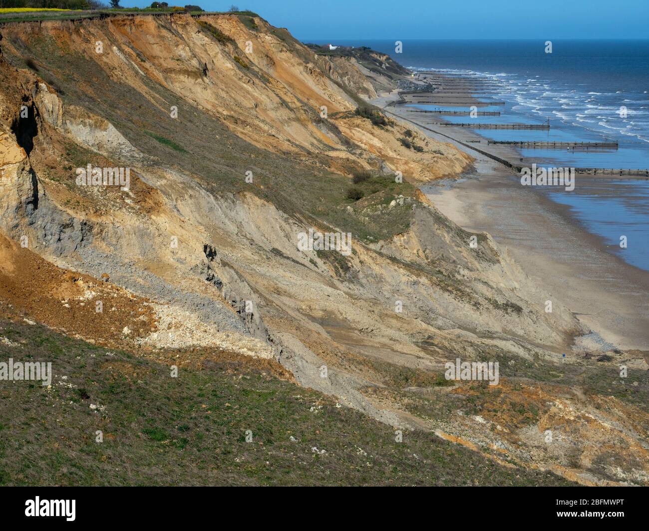 Jurassic coast fossils hi-res stock photography and images - Alamy