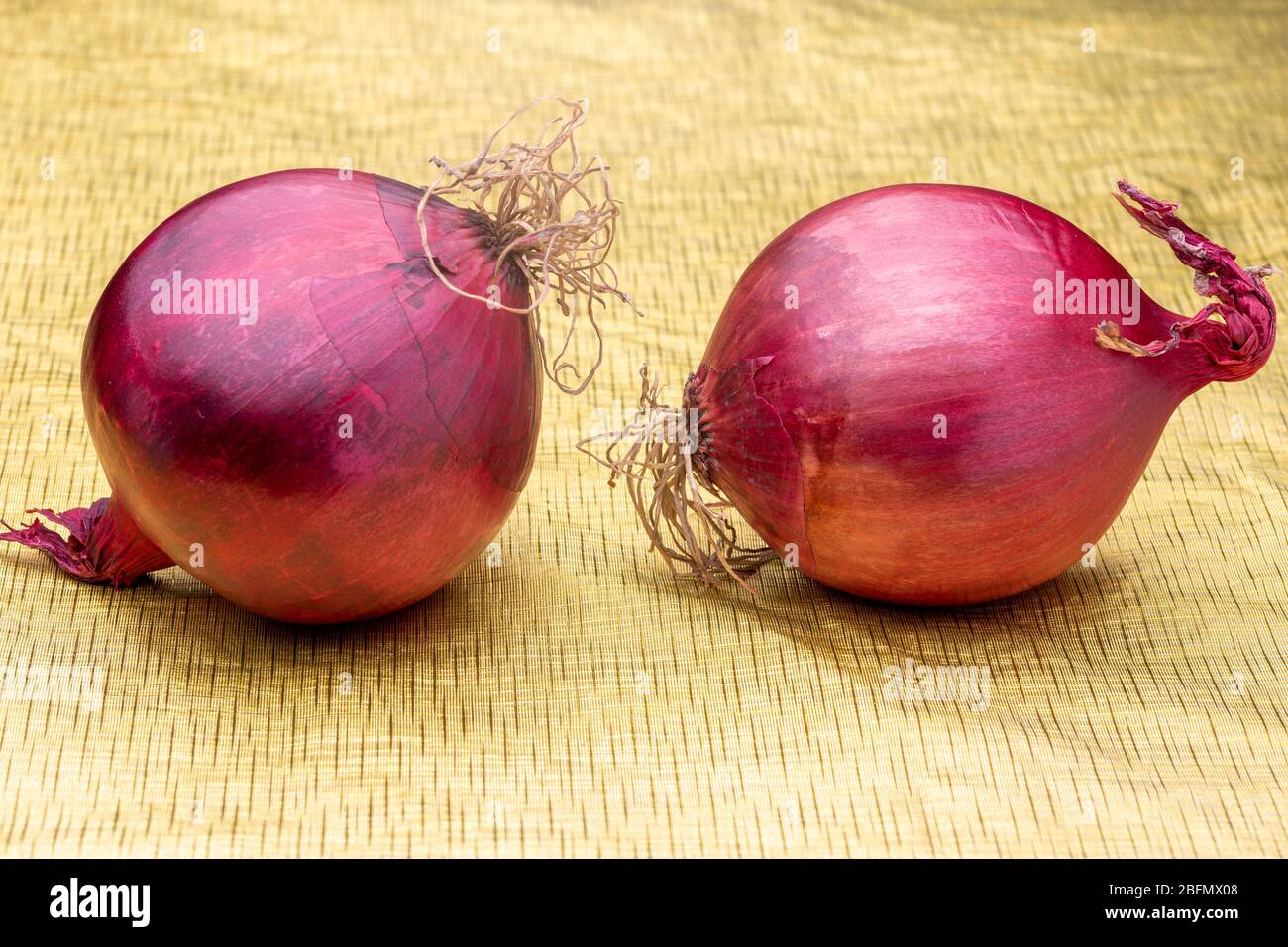 Shiny vibrant purple red onion studio low key still life macro closeup ...