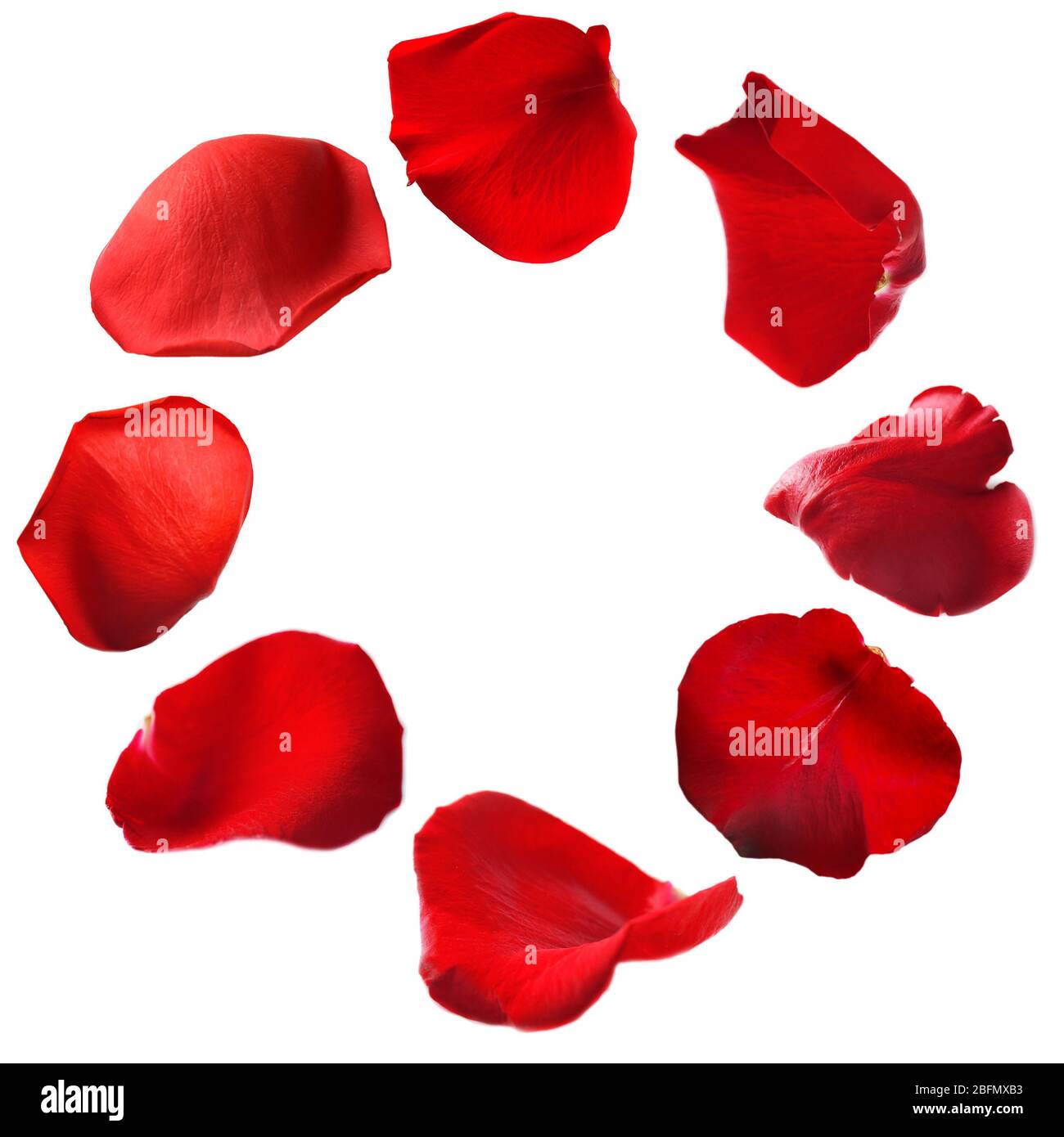 Round frame made of flower petals isolated on white Stock Photo - Alamy