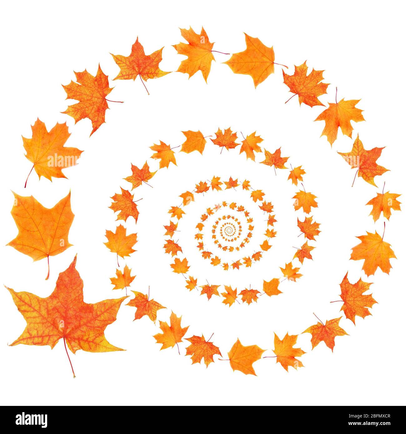 Leaves spiral hi-res stock photography and images - Alamy