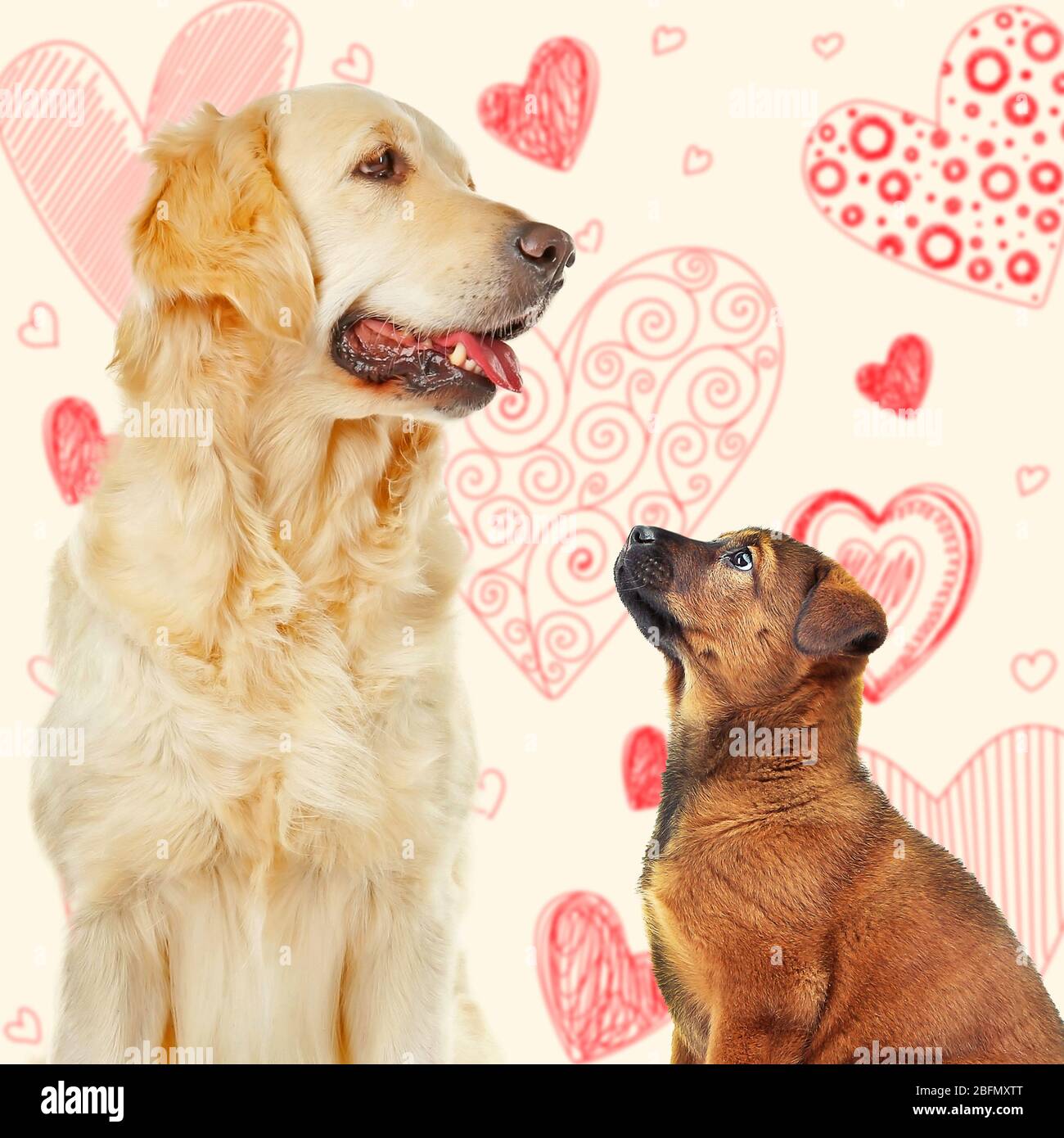 Two dogs together on color background with hearts Stock Photo - Alamy