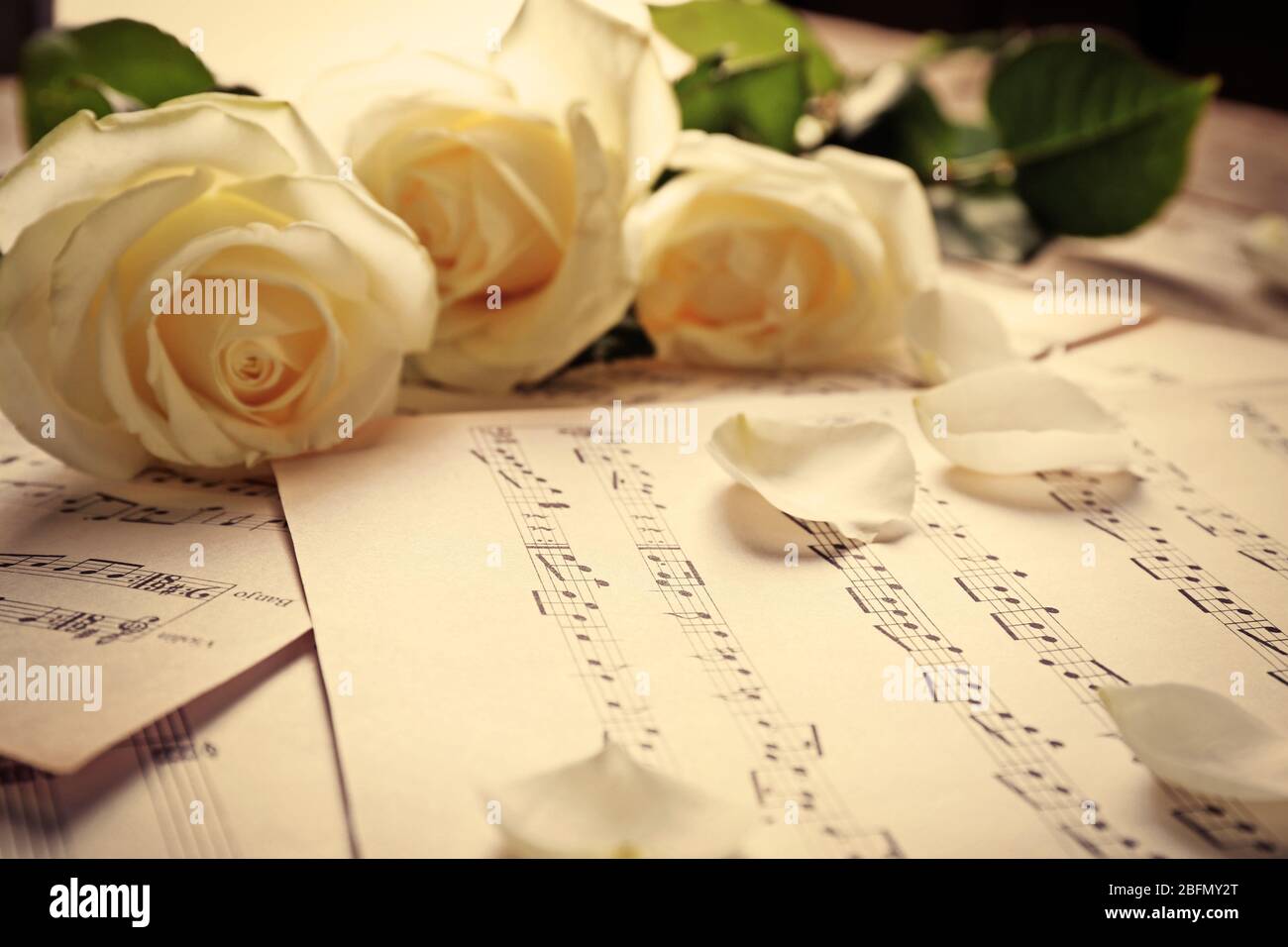 Beautiful roses on music notes background Stock Photo - Alamy