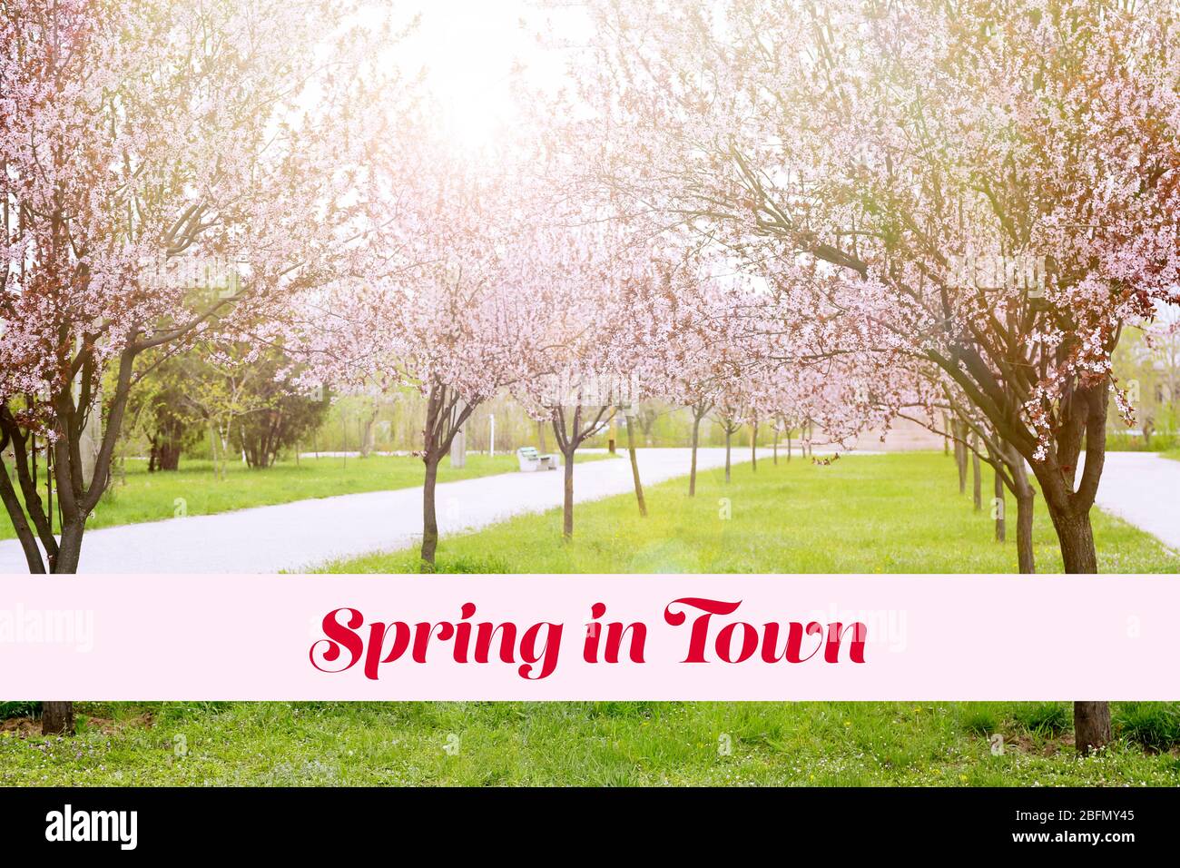 Spring in town text on spring park background Stock Photo - Alamy