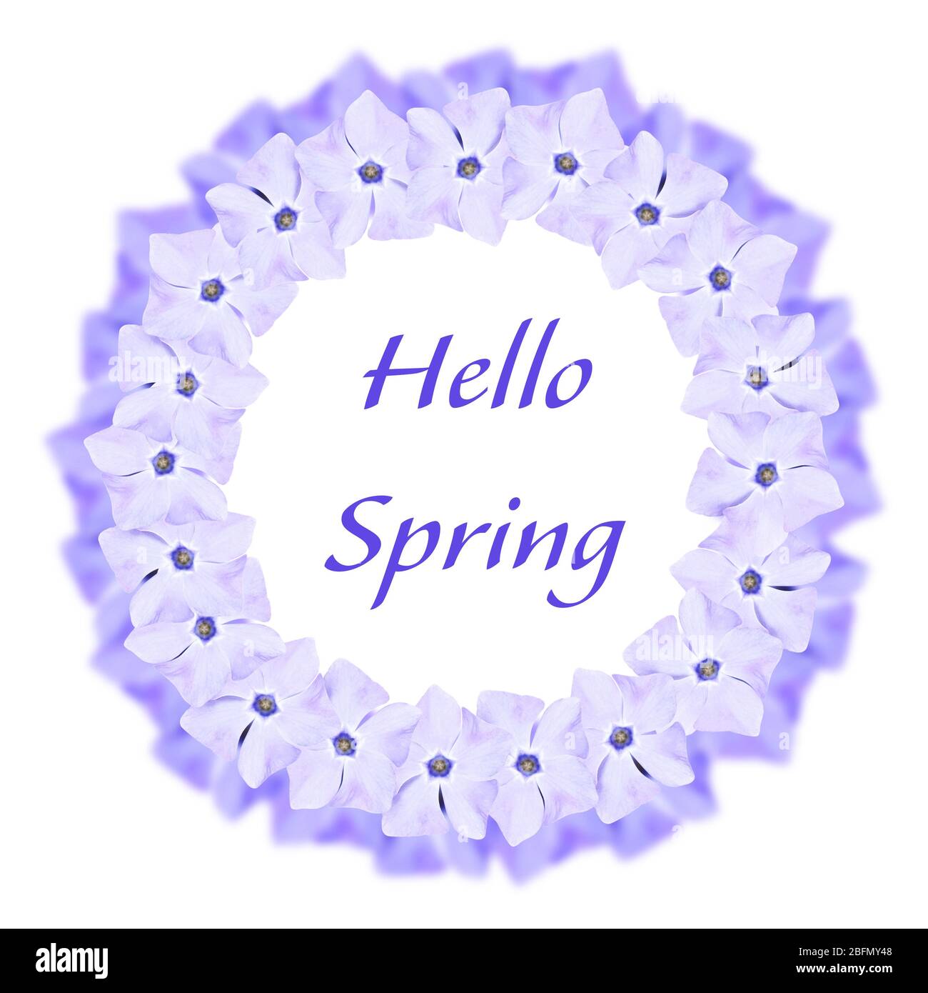 Spring concept. Spring flowers frame and text isolated on white Stock ...