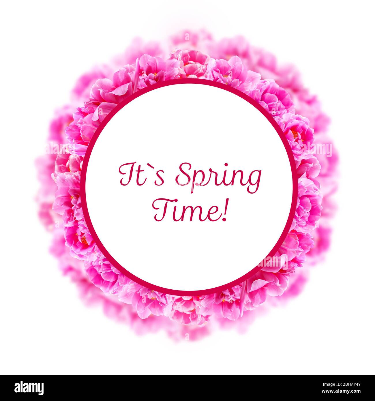 Spring concept. Spring flowers frame and text isolated on white Stock ...