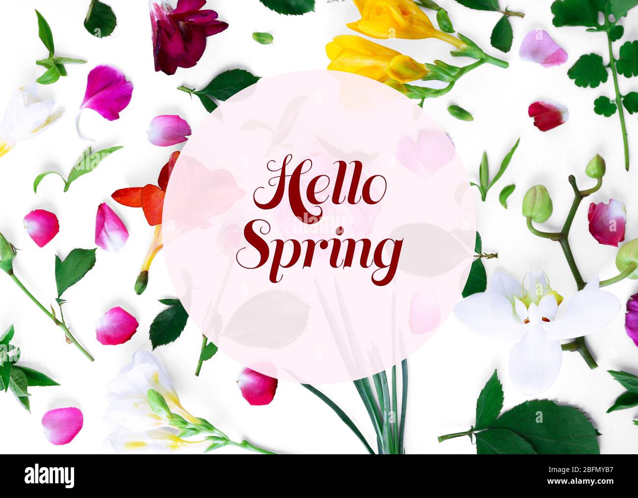 Spring concept. Leaves and petals of spring flowers on white background ...