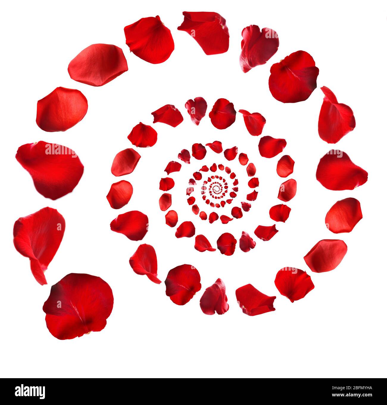 Flower petals spiral isolated on white Stock Photo - Alamy