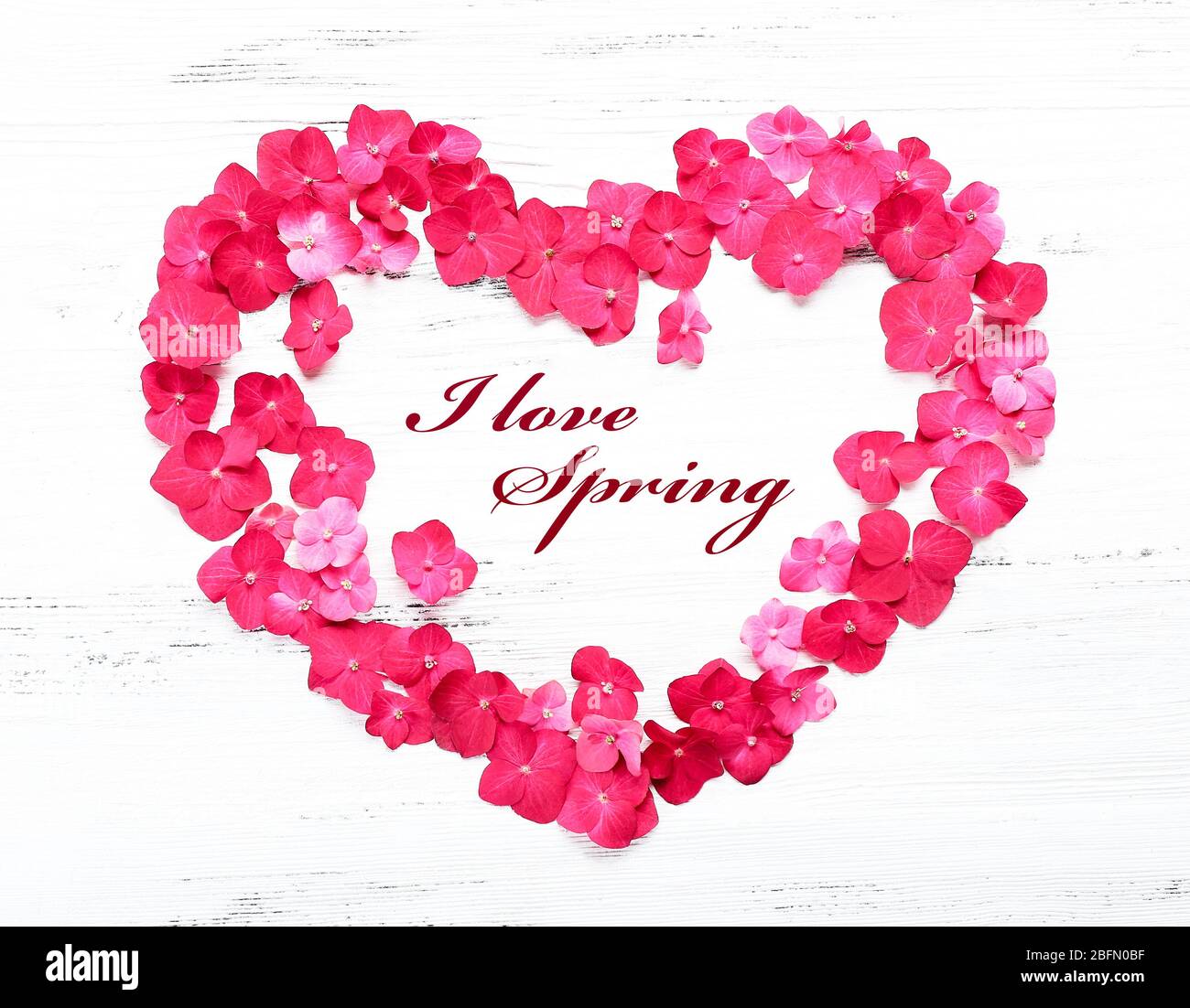 Heart-shaped pink hydrangea petals on wooden background. Spring concept ...