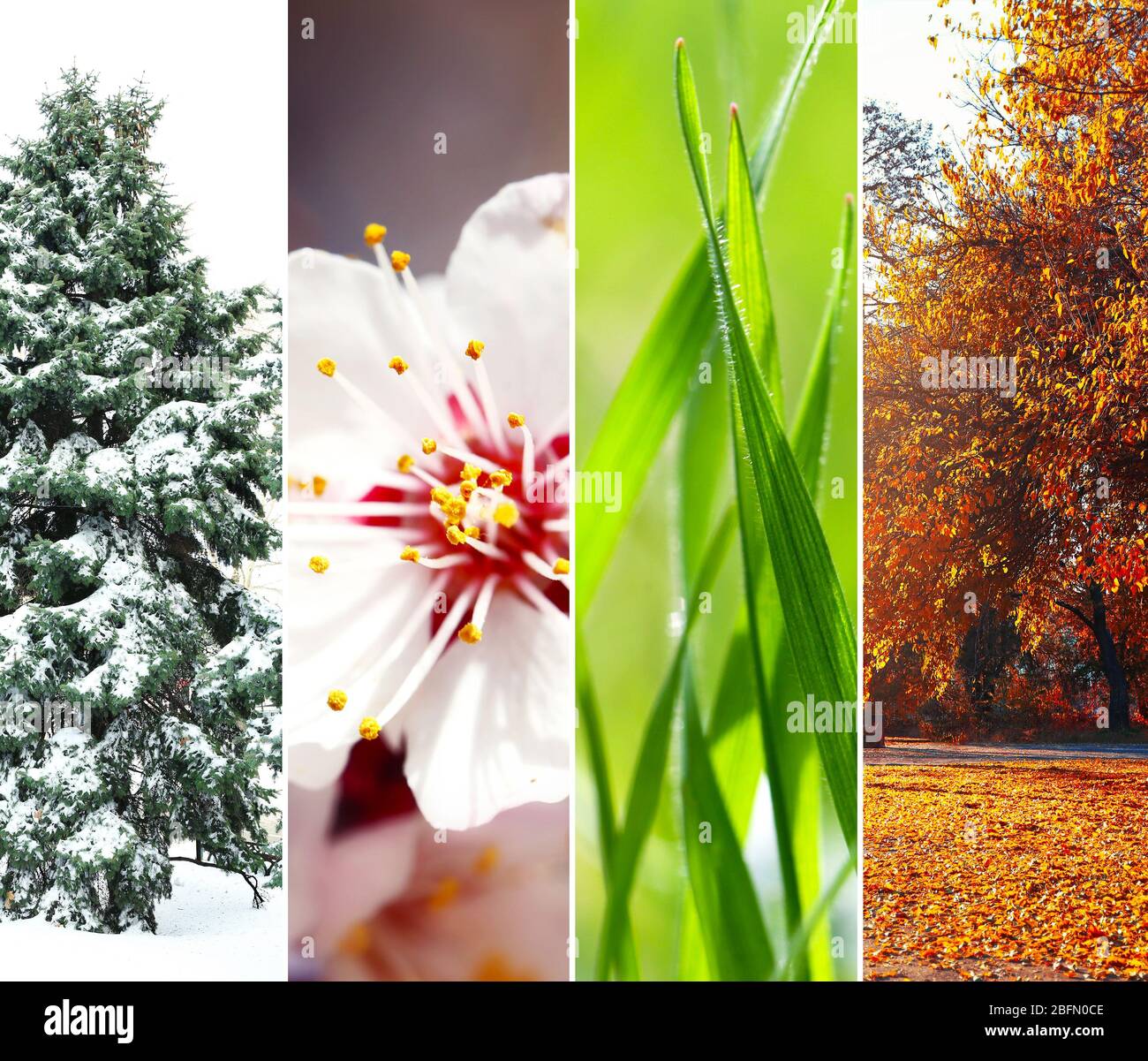 Different seasons of the year - several photos of beautiful nature ...