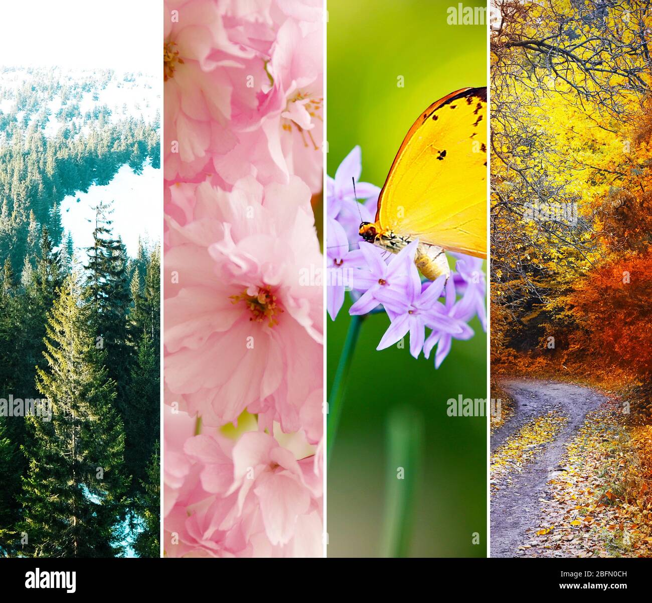 Different seasons of the year - several photos of beautiful nature ...