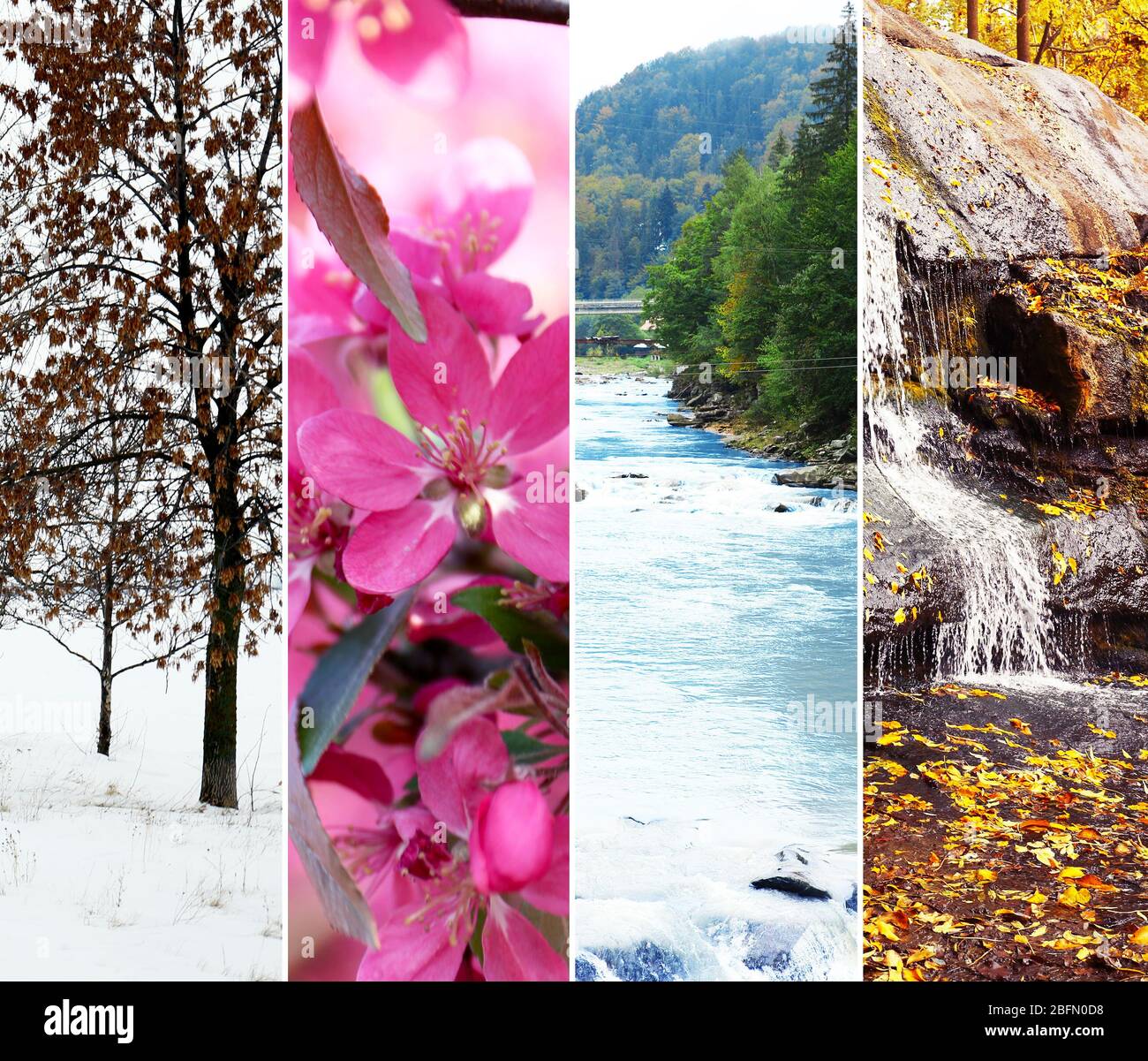 Different seasons of the year - several photos of beautiful nature ...