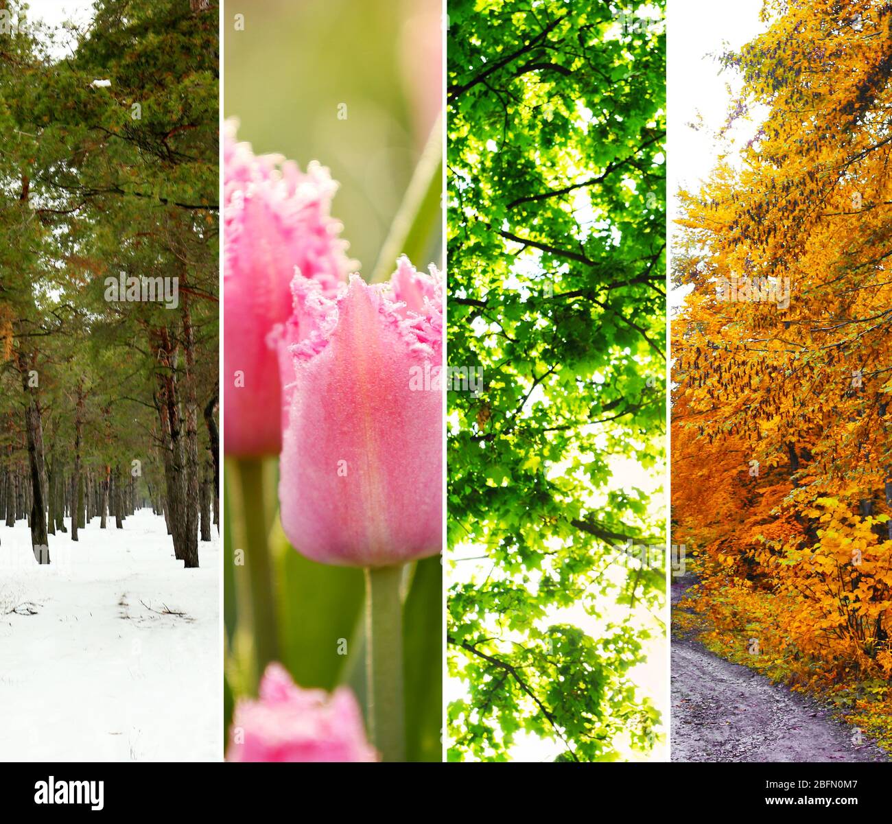 Different seasons of the year - several photos of beautiful nature ...