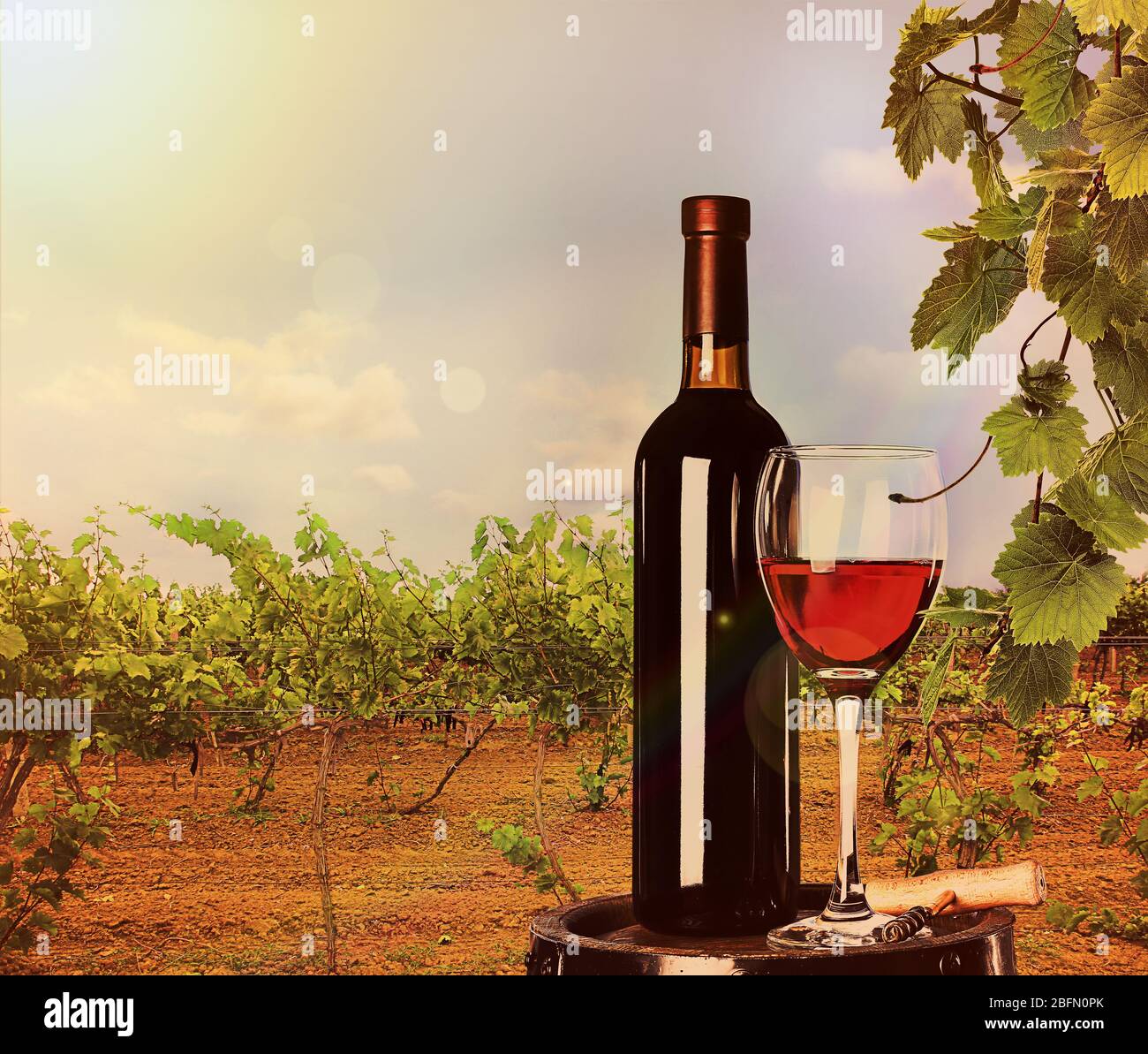 Red wine in glass and bottle on nature background Stock Photo - Alamy
