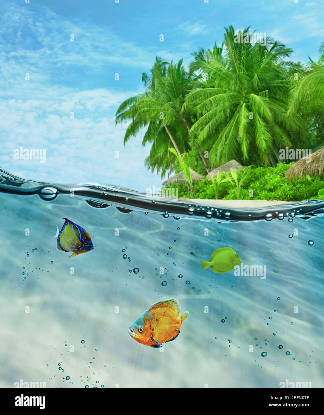 Beautiful alone island in ocean and underwater world with exotic fishes ...