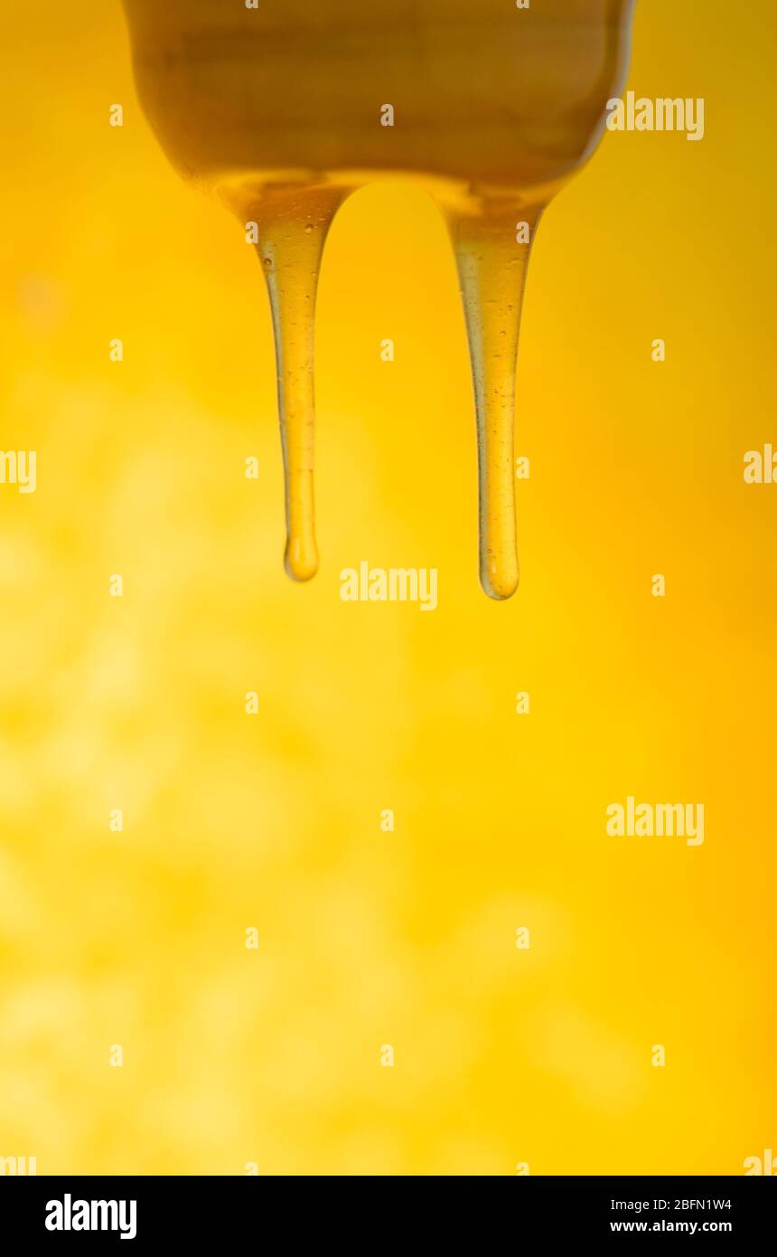 Dripping golden honey. Orange honey splashes. Honey flow dropping ...