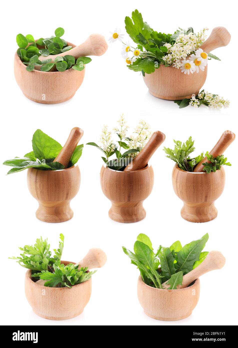Collage of medicinal herbs isolated on white Stock Photo - Alamy