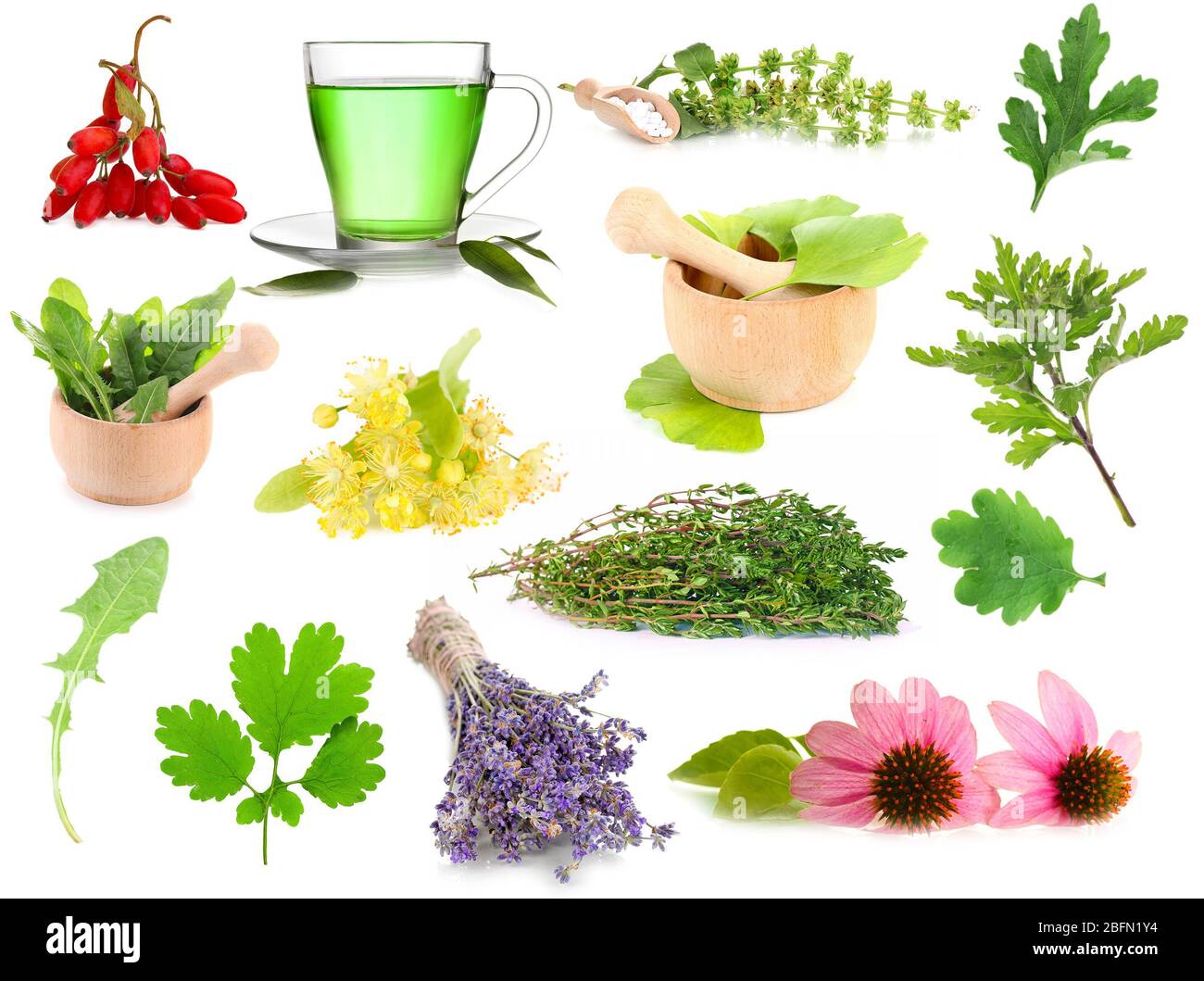 Collage of medicinal herbs isolated on white Stock Photo - Alamy