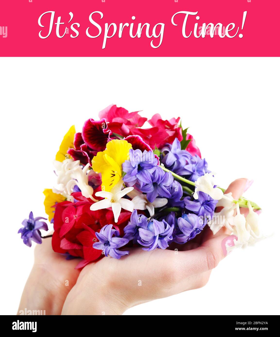 Bright flowers in hands and sentence It's spring time Stock Photo - Alamy