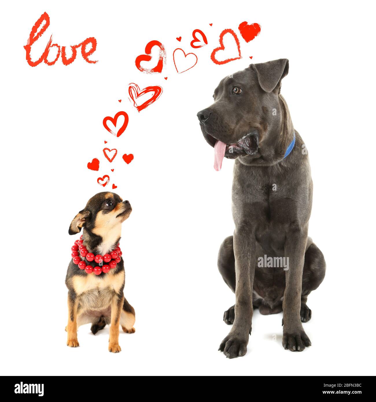 Duo italiano hi-res stock photography and images - Alamy