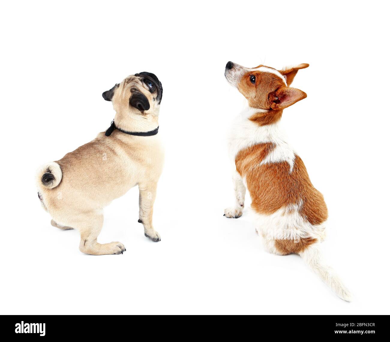 View from back happy Cut Out Stock Images & Pictures - Alamy