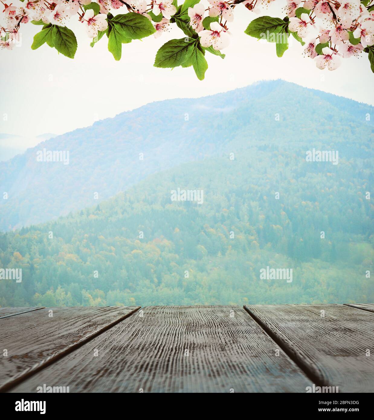 Nature landscape. Wooden terrace with mountains and blooming trees ...