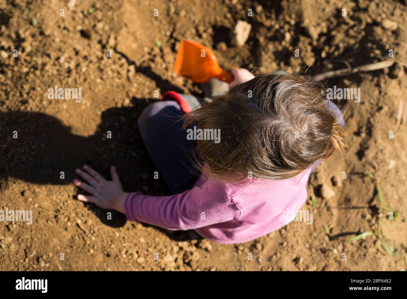 Little child girl digging soil with a scoop in the garden during covid ...