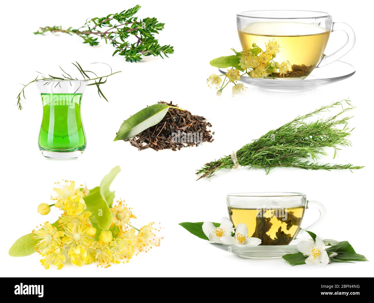Collage of medicinal herbs isolated on white Stock Photo - Alamy