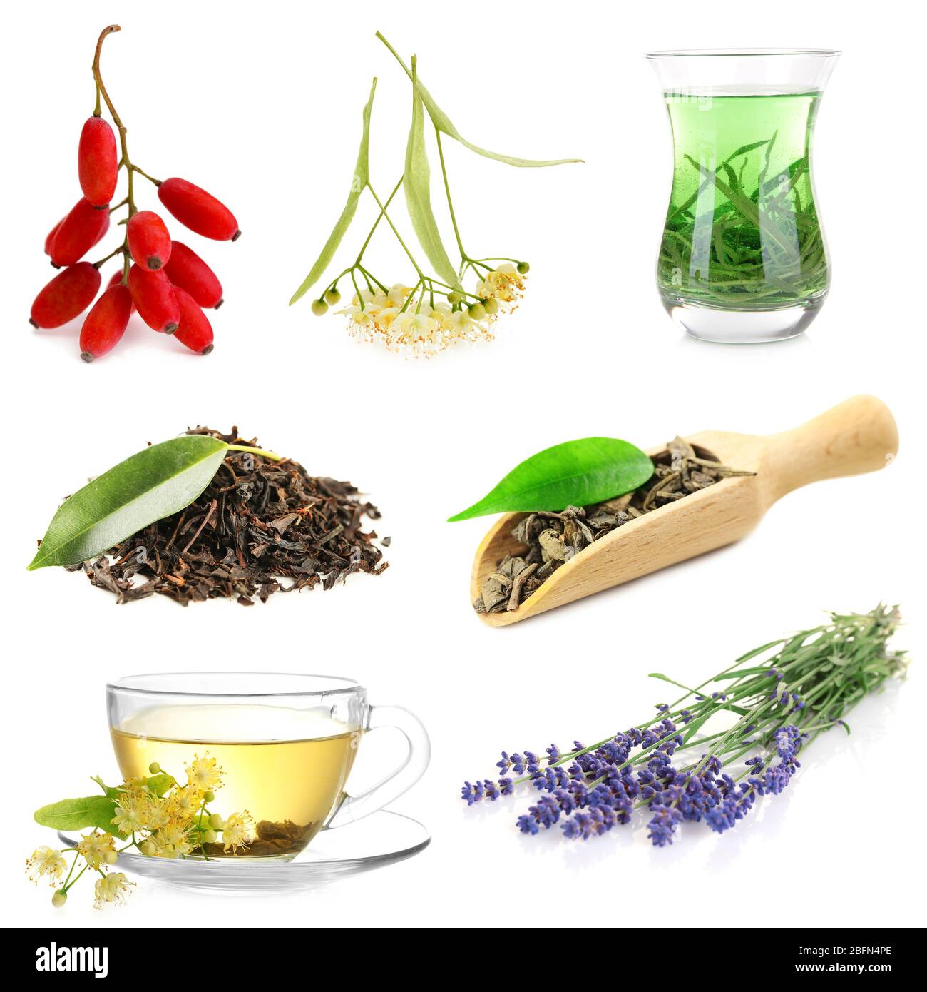 Collage of medicinal herbs isolated on white Stock Photo - Alamy