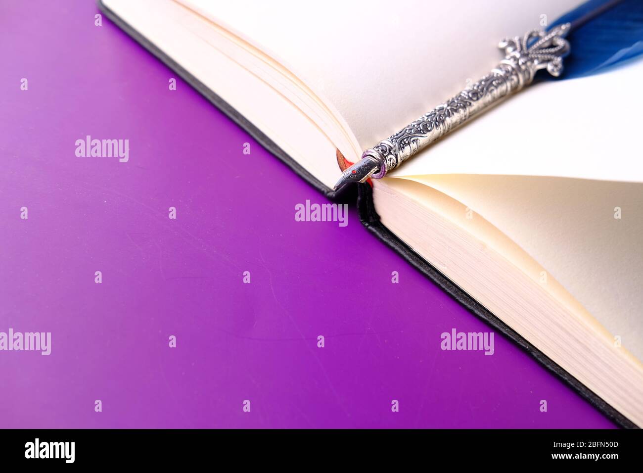 close up of open diary and a fountain pen, close up Stock Photo - Alamy