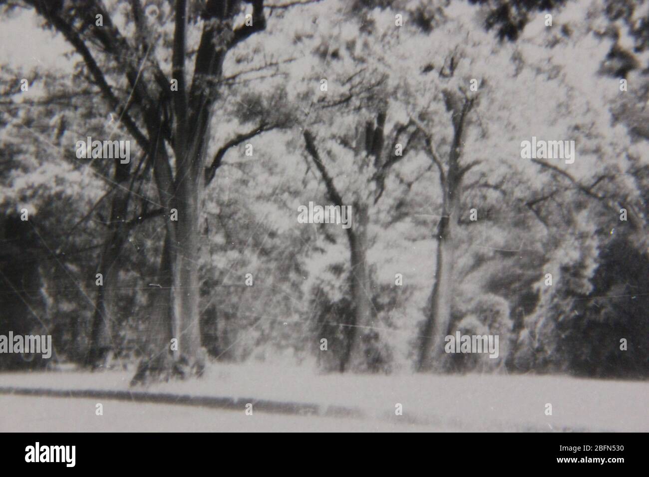 Fine 70s vintage black and white extreme photography of a glowing ...