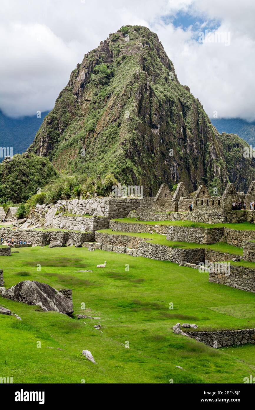 Machu Picchu, Lost City of the Incas, Peru, South America Stock Photo ...