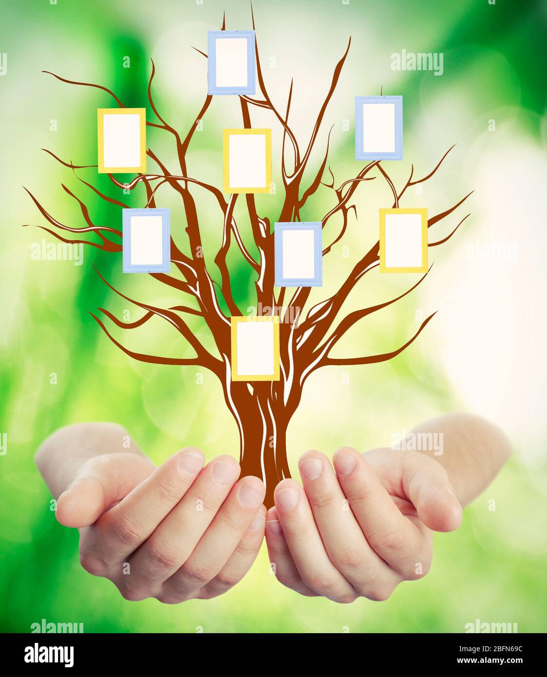 Hands holding family (genealogy ) tree with blank frames, on nature ...