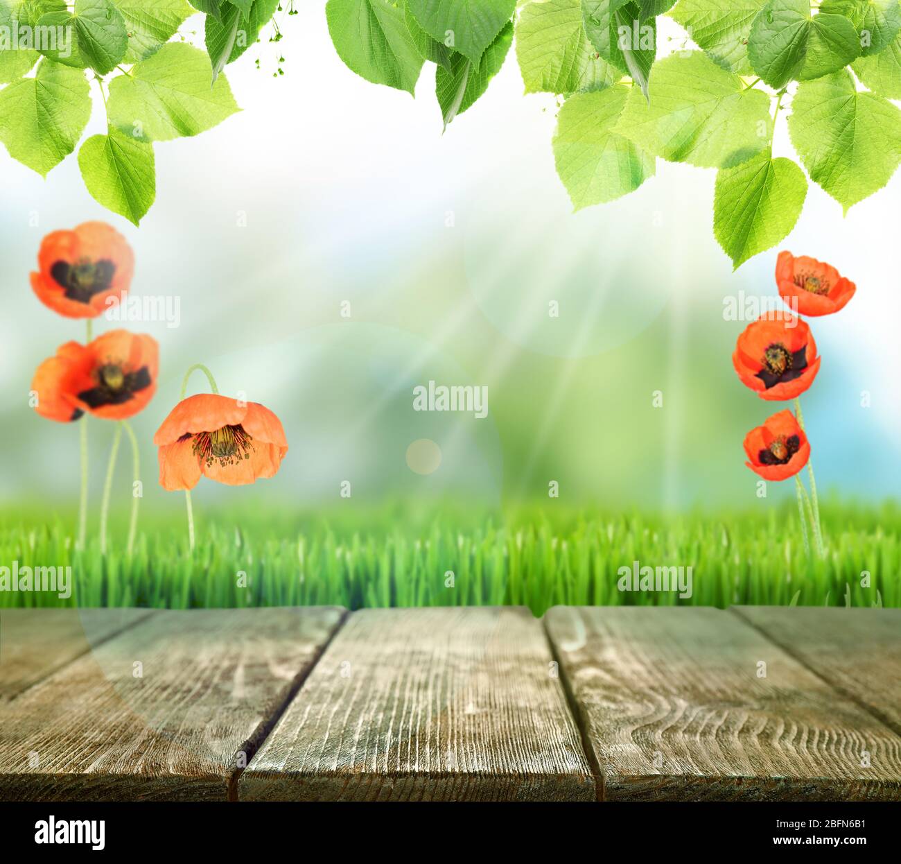 Summer background with beautiful meadow flowers Stock Photo - Alamy
