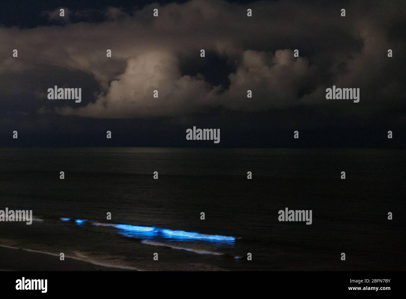 Ocean waves glow with bioluminescence during a red tide event in San ...