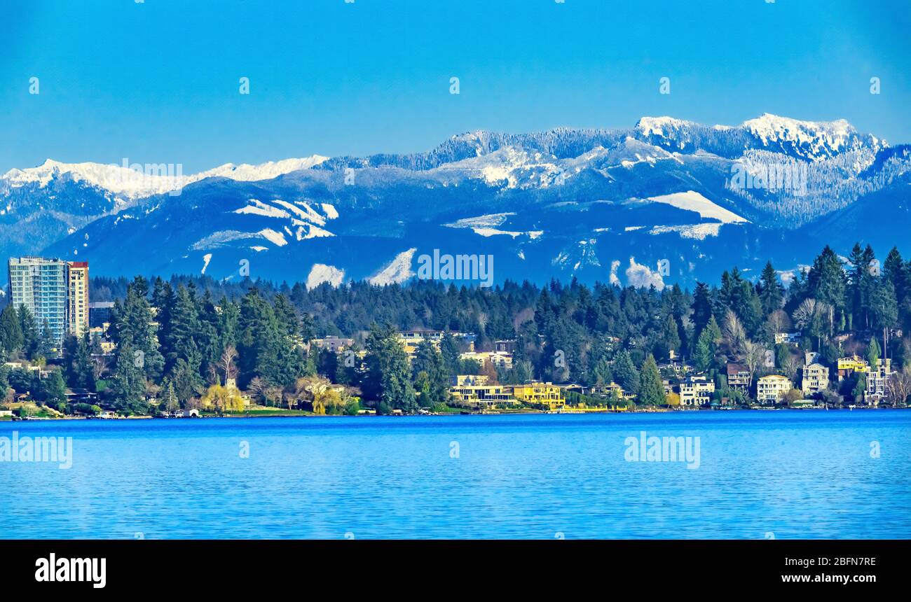 High Rise Building Houses Residential Neighborhoods Lake Washington ...