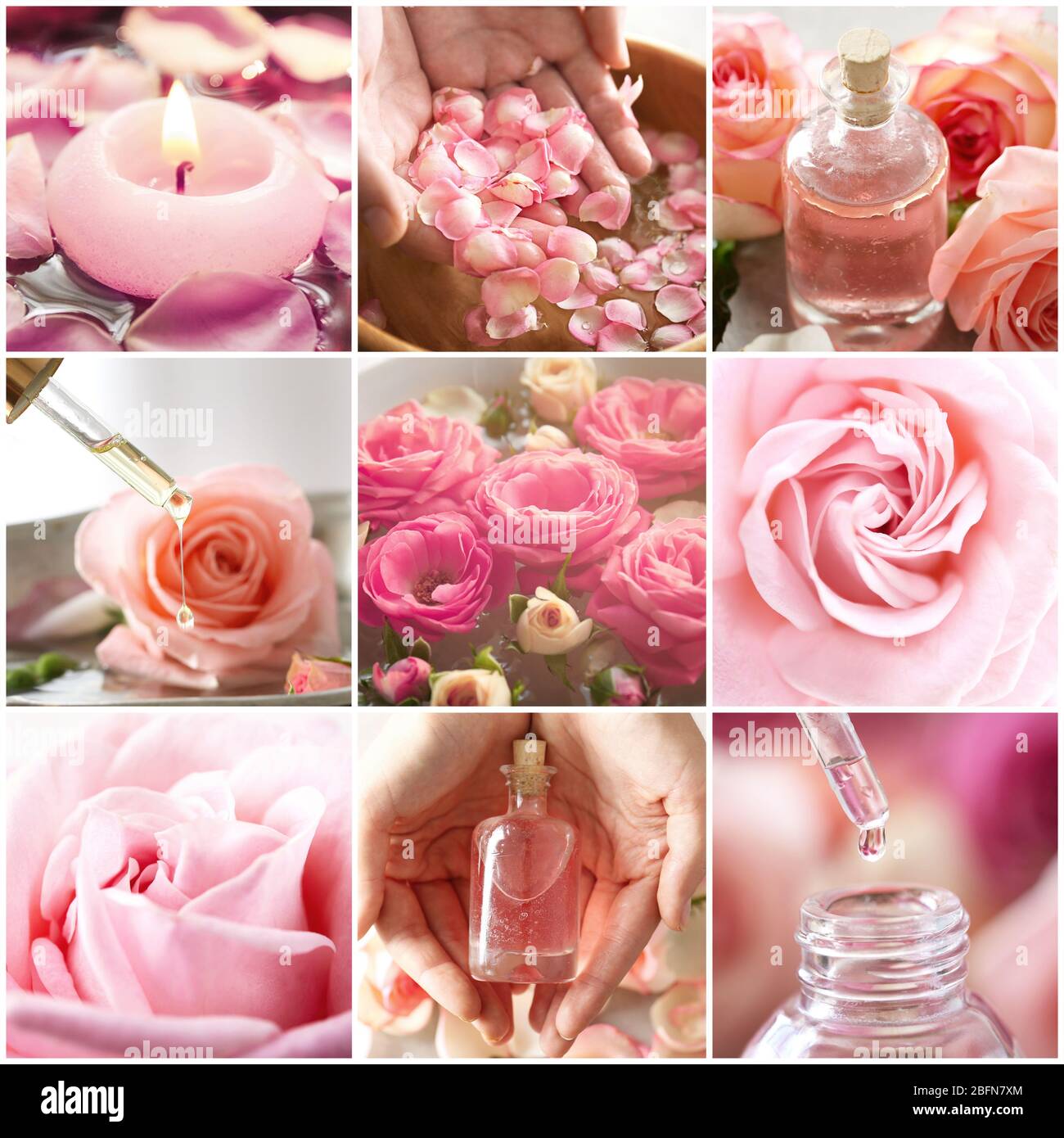 Collage of rose spa. Beauty treatment concept Stock Photo - Alamy