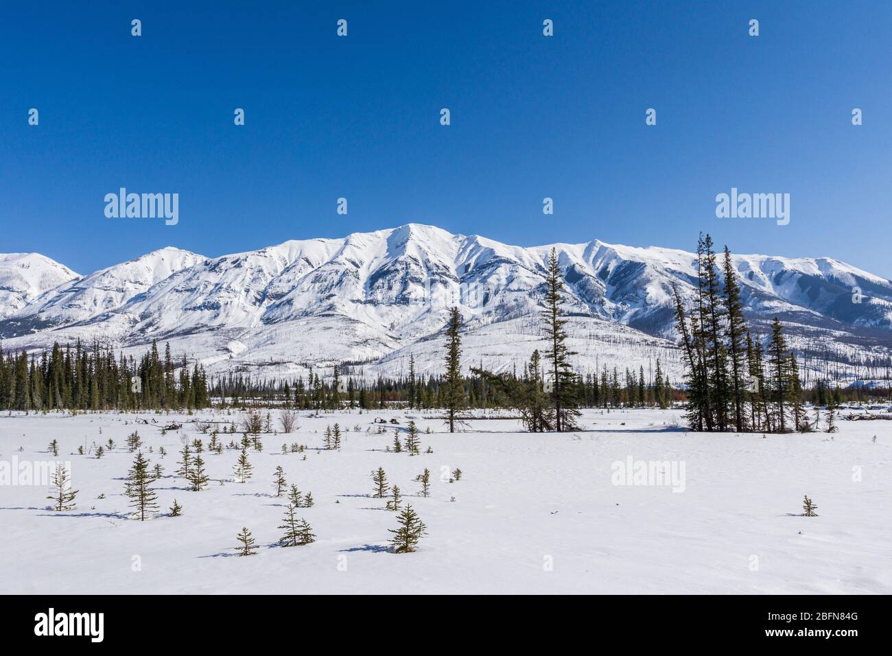 Winter landscape large open space in snow mountain range Alberta Canada ...