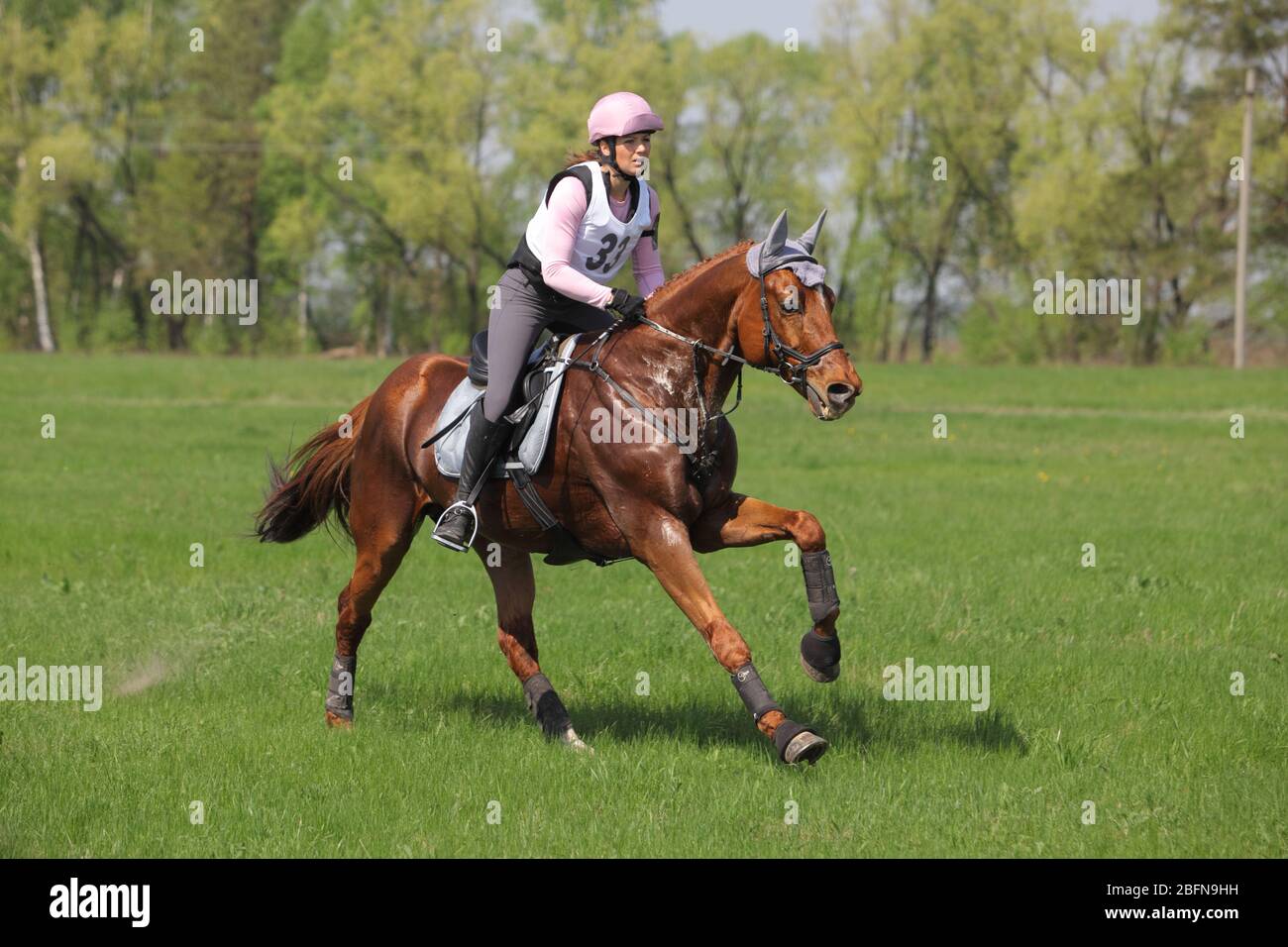 Beautiful equestrian sports woman riding horseback event in woods glade ...