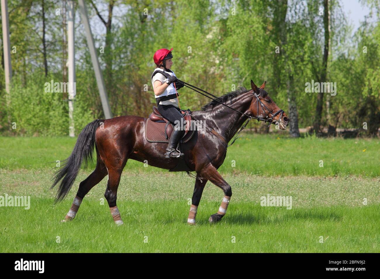 Beautiful equestrian sports woman riding horseback event in woods glade ...