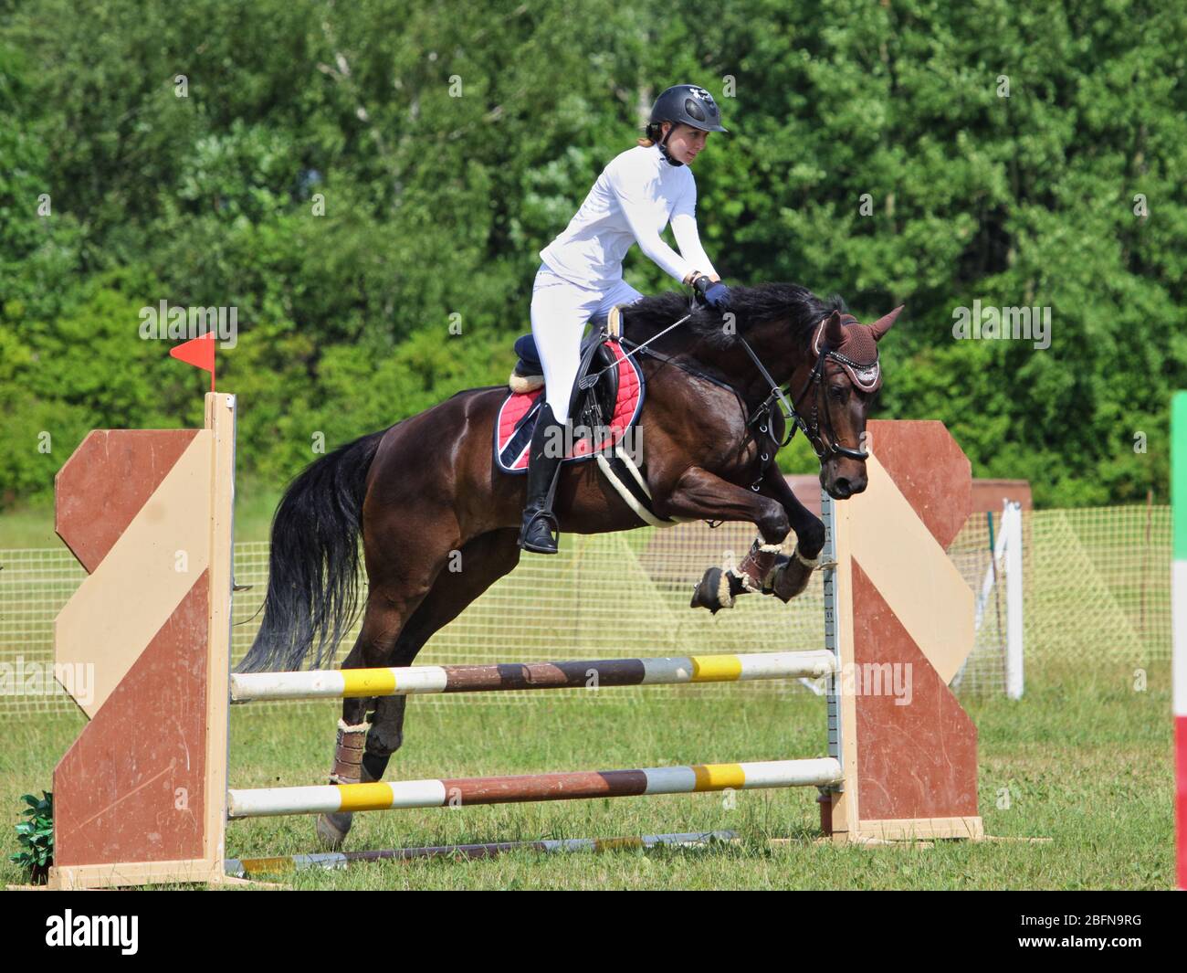 Oxer jump hi-res stock photography and images - Alamy