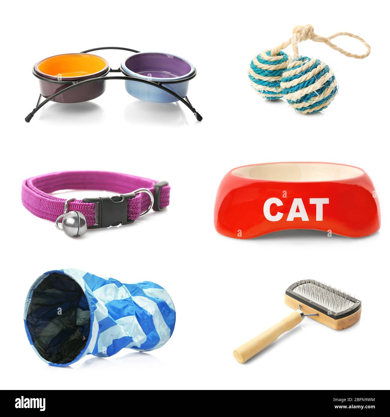 Different cats accessories on white background Stock Photo - Alamy