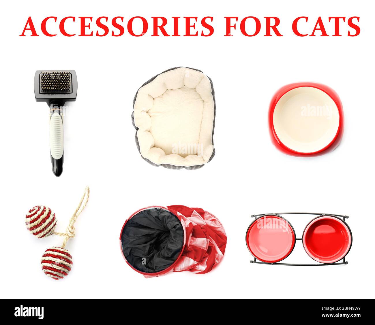 Different cats accessories on white background Stock Photo - Alamy