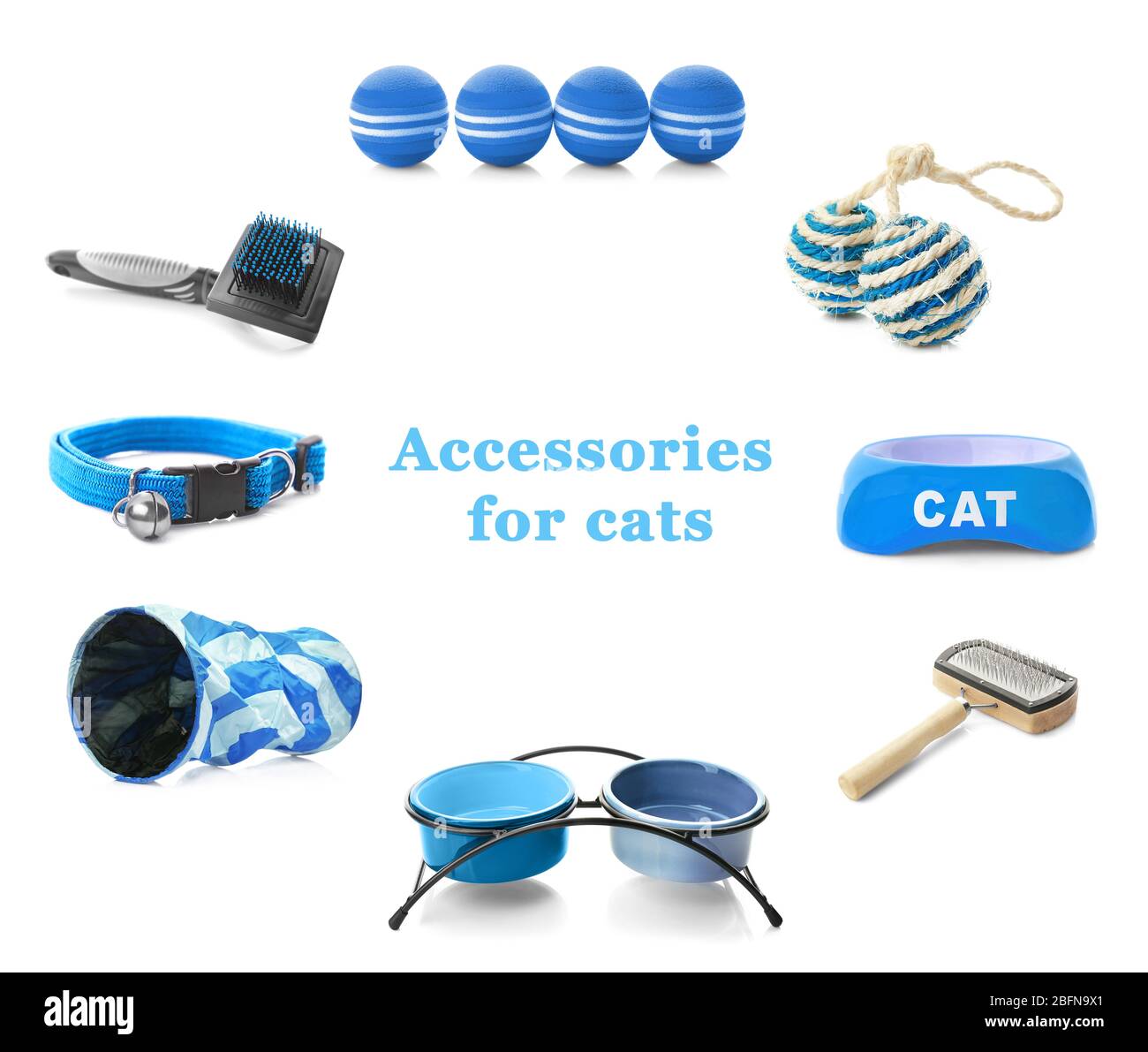 Different cats accessories on white background Stock Photo - Alamy
